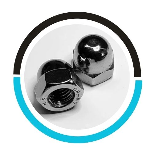 Dome Nuts Manufacturer and Supplier in Dubai, UAE