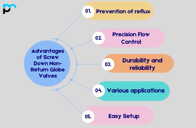 Screw Down Non Return Globe Valve Manufacturer and Supplier in Dubai, UAE
