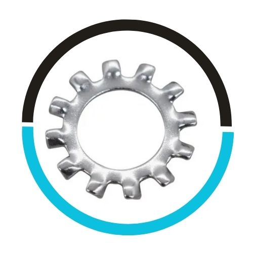 Internal and External Star Washers Manufacturer and Supplier in Dubai, UAE